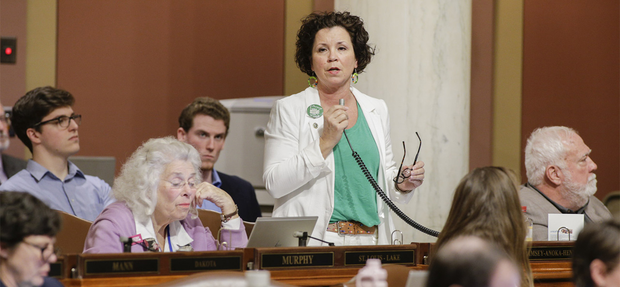 Vision | Mary Kunesh for Minnesota State Senate